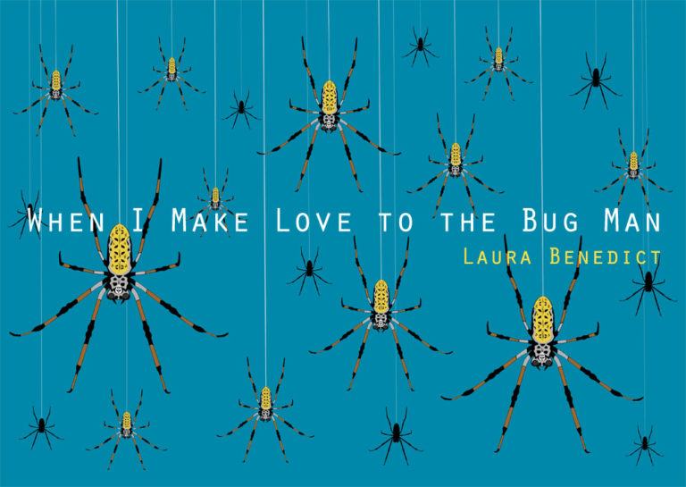 Stories That Teach: “When I Make Love to the Bug Man” by Laura Benedict ...