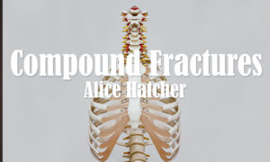 New Voices: “Compound Fractures” by Alice Hatcher - The Masters Review