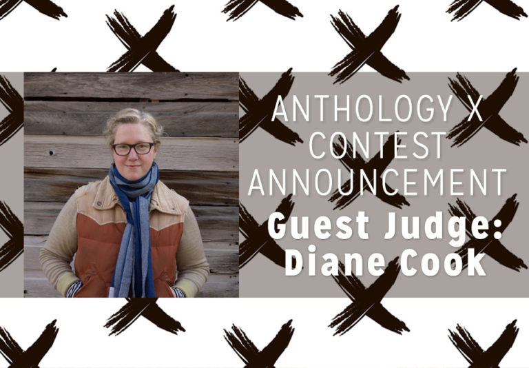 The Masters Review Vol. X Judge: Diane Cook! - The Masters Review