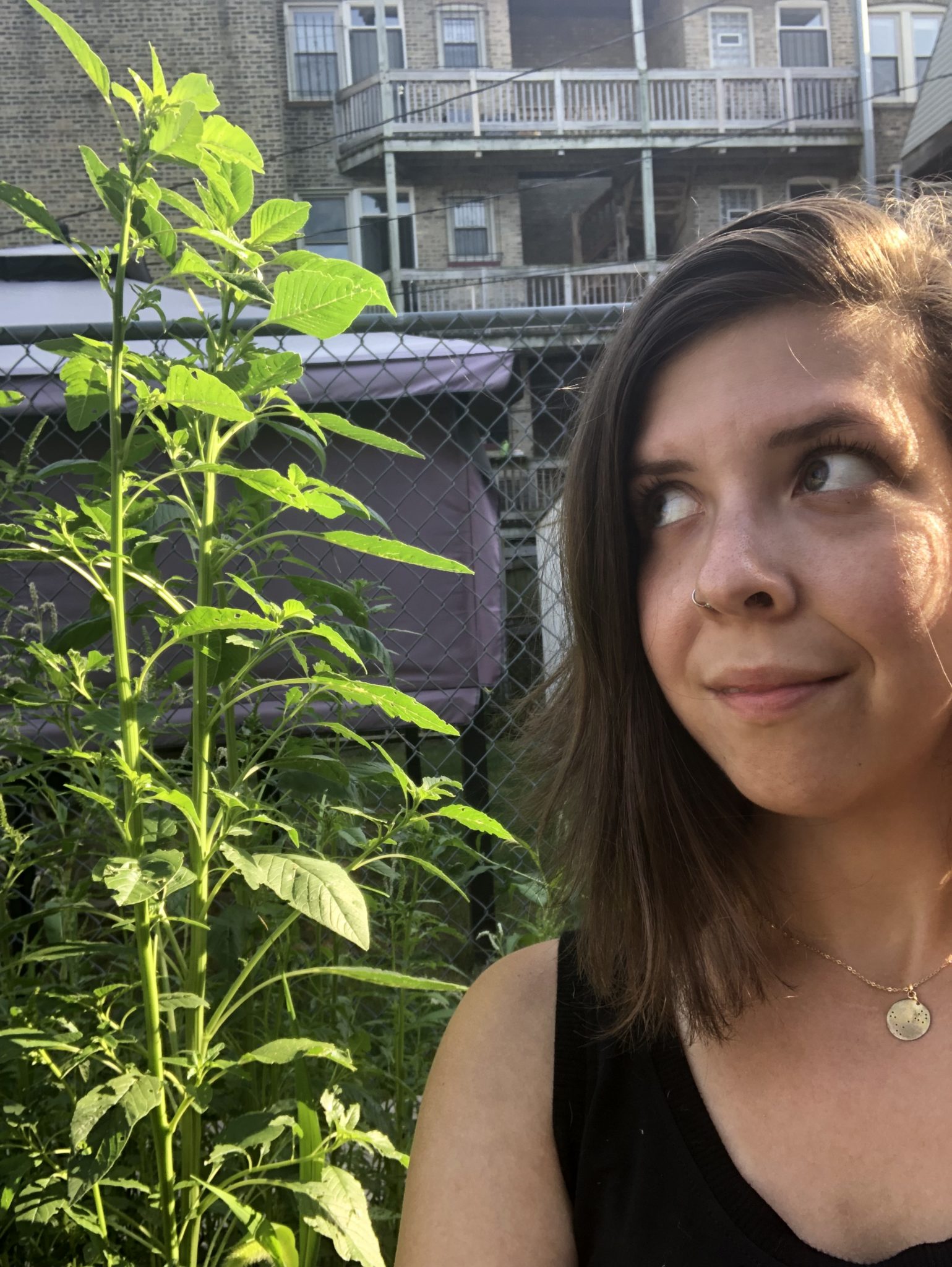 Flash Fiction Contest Honorable Mention: “Everywhere, All at Once” by ...