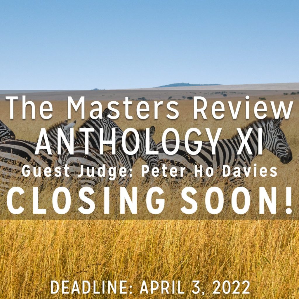 The Masters Review | A platform for emerging writers