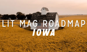 The Masters Review | A platform for emerging writers