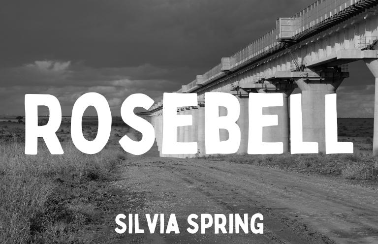 The Masters Review | New Voices: “Rosebell” by Silvia Spring