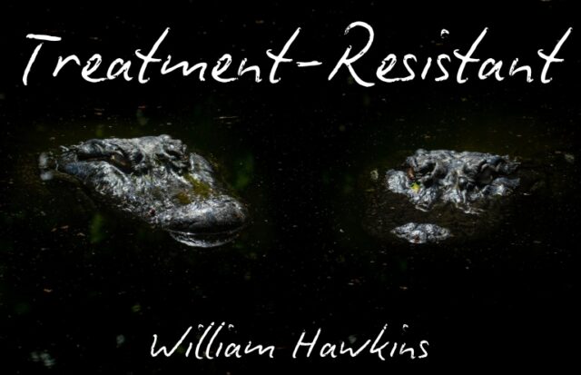 New Voices: “Treatment-Resistant” by William Hawkins - The Masters Review