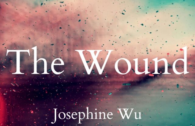 New Voices: “The Wound” by Josephine Wu - The Masters Review