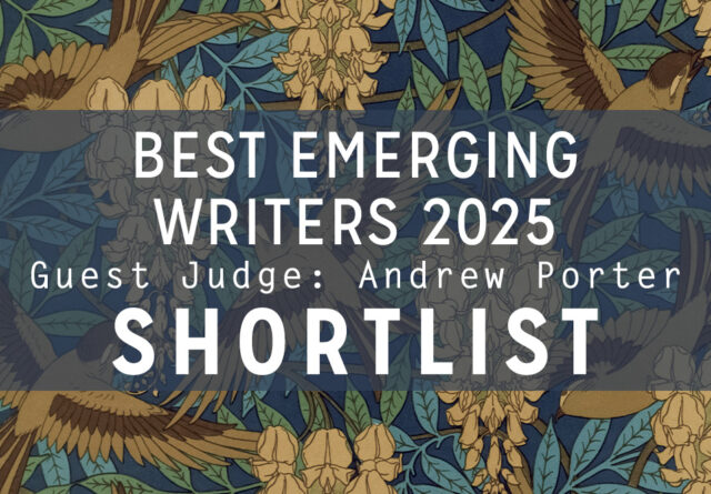 Best Emerging Writers 2025 Shortlist! - The Masters Review