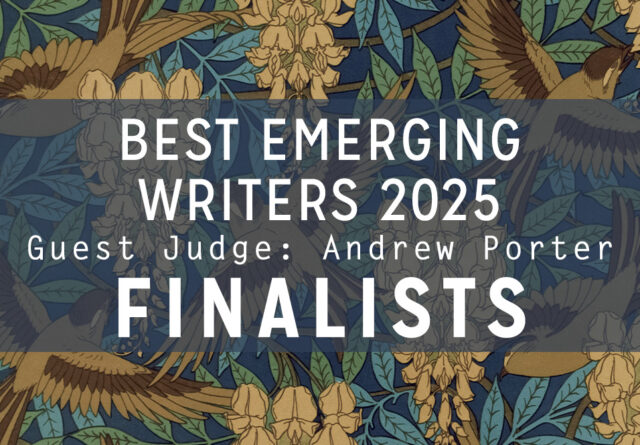 Best Emerging Writers 2025 Finalists! - The Masters Review